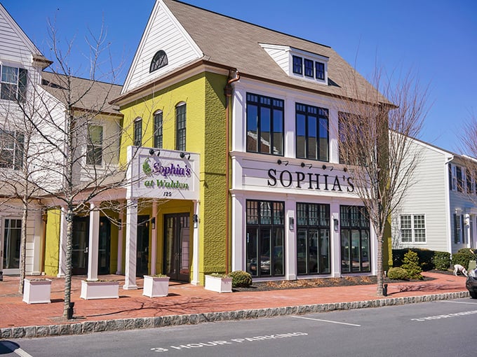 Even in winter, Sophia's bright facade offers a warm welcome to hungry visitors seeking refuge from Pennsylvania's chill.