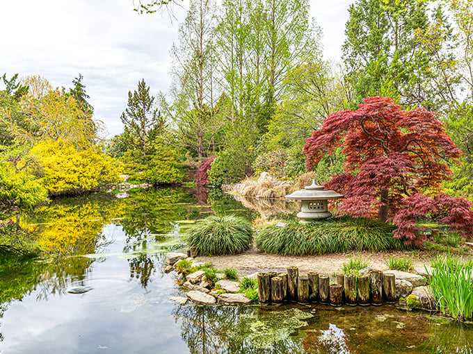 Inside the conservatory, a storybook cottage springs to life amid this beautiful pond. Mother Nature and Disney's set designers seem to have collaborated on this magical scene.