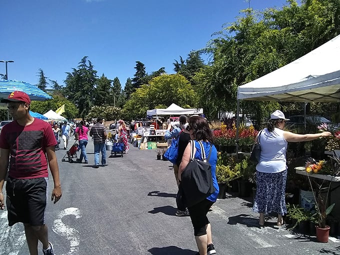 Weekend wanderers navigate endless rows of treasures under California's perfect blue skies at De Anza.