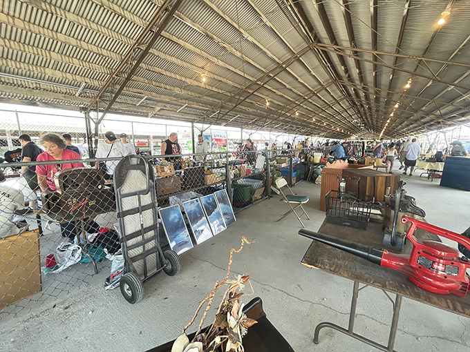 Under metal pavilions, treasure hunters scan tables loaded with vintage finds—where yesterday's everyday items become tomorrow's conversation pieces.