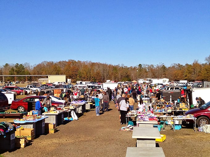 The weekend treasure hunt begins! Florence Flea Market stretches as far as the eye can see, with tables brimming with possibilities under the Carolina blue sky.