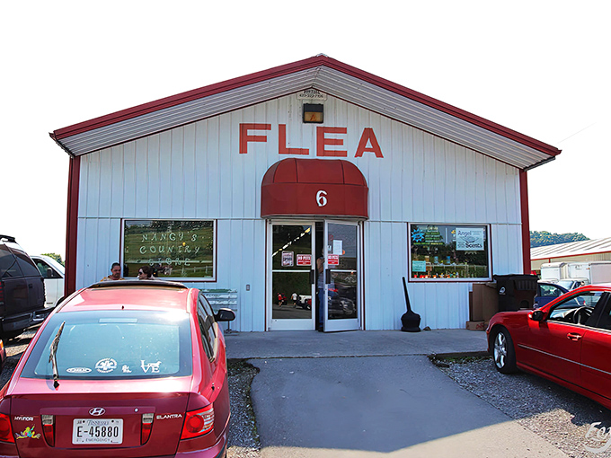 The white building with bold red "FLEA" lettering promises treasures inside like a humble book cover hiding an epic tale.