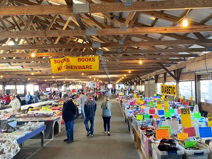 Treasure hunting under rustic wooden beams – where one person's "why do I still have this?" becomes another's "I can't believe I found this!"
