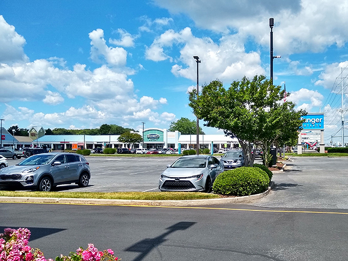 The retail promised land awaits under those blue Delaware skies. No sales tax means every cloud has a silver—and gold—lining.