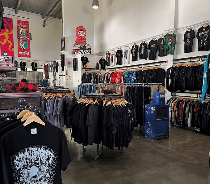 Vintage paradise awaits! Szyn's meticulously organized racks transform secondhand shopping from chaotic scavenger hunt to delightful treasure expedition.