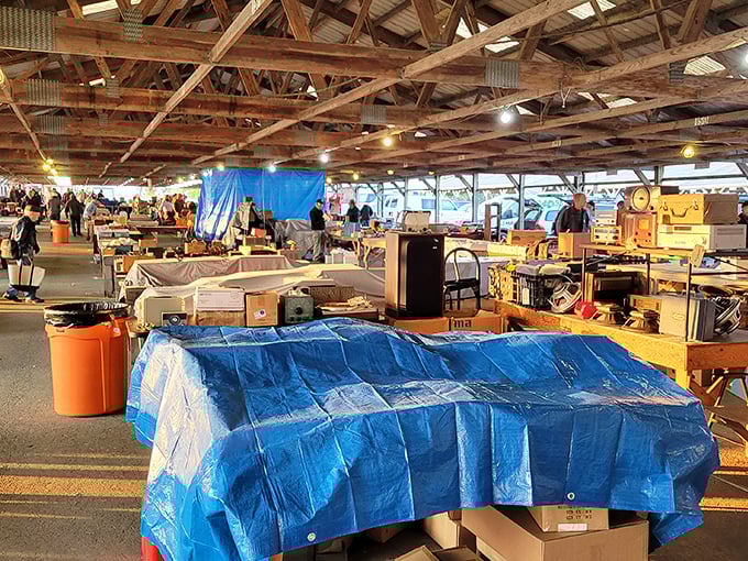 Treasure hunting paradise under rustic wooden beams. Every table promises the thrill of discovery that keeps bargain hunters coming back weekend after weekend.