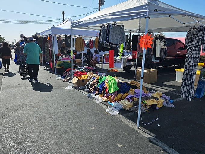 White canopies stretch to the horizon like a modern-day bazaar, where treasure hunters navigate aisles of possibility at the San Fernando Swap Meet.