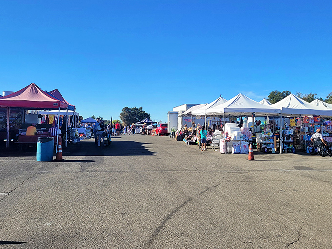 Rows of colorful tents stretch toward the horizon under perfect California blue skies—the universal language of "bargains ahead" needs no translation.