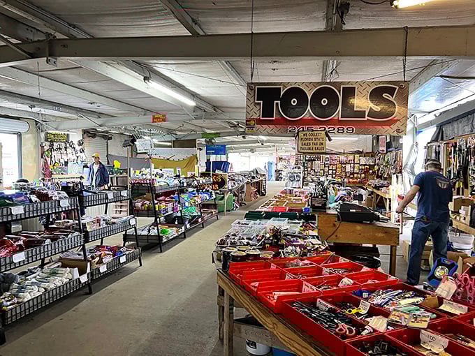 The plant paradise at Market of Marion feels like stepping into a botanical garden where your wallet doesn't need therapy afterward.