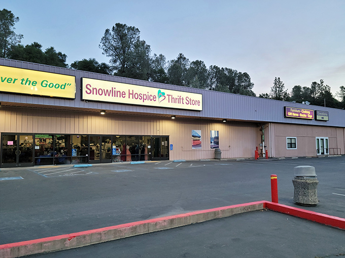 This unassuming storefront holds more treasures than a pirate's chest – and better prices too.