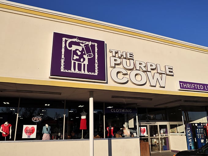 Window shopping takes on new meaning at The Purple Cow, where mannequins sport fashions that might have starred in anything from prom nights to board meetings.