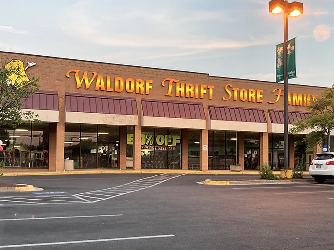 The golden lettering of Waldorf Thrift Store beckons like a siren song to bargain hunters. Treasure awaits behind those glass doors!