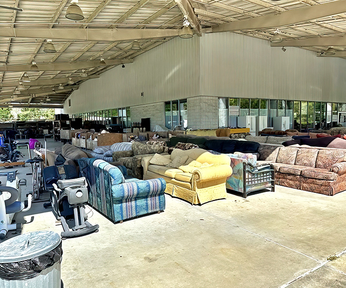 The furniture section stretches as far as the eye can see—a sofa safari where your next living room centerpiece awaits discovery.