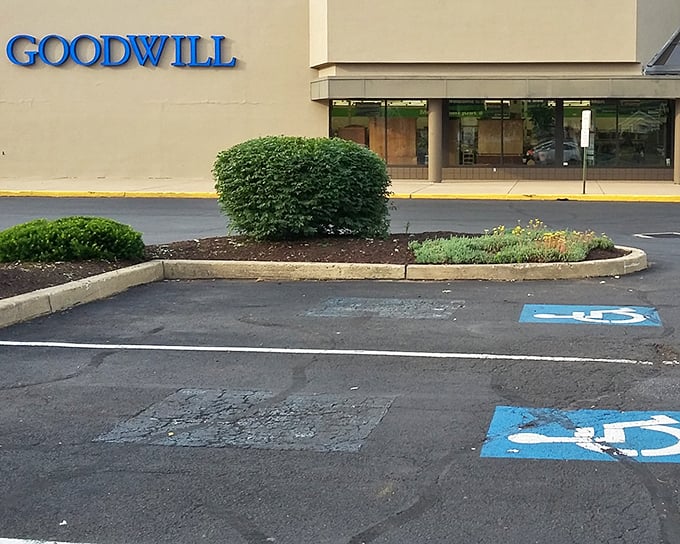 The unassuming exterior hides a wonderland of bargains. Like finding a Michelin-starred restaurant in a strip mall, appearances can be deliciously deceiving.