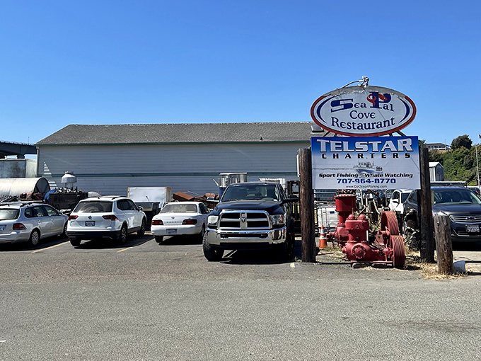 No-frills parking lot perfection. The kind of place where the best seafood joints hide—next to fishing charters, not five-star hotels.