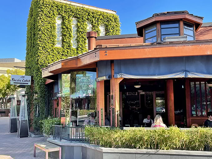 The ivy-draped exterior of Pacific Catch in Corte Madera feels like California's perfect answer to coastal dining—where nature and architecture embrace in delicious harmony.