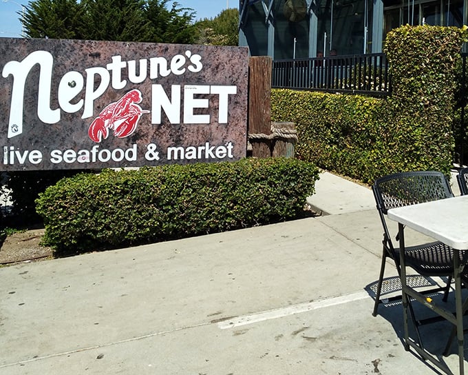 That weathered sign promises adventure – Neptune's Net delivers oceanic treasures without the pretense of fancier establishments.