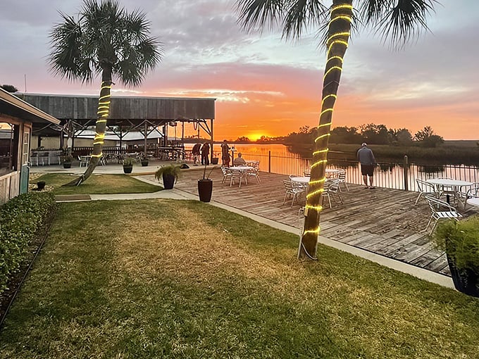 At Salt Creek Restaurant, the real magic begins outside—where golden sunsets over the water turn every seafood feast into a memory worth savoring.