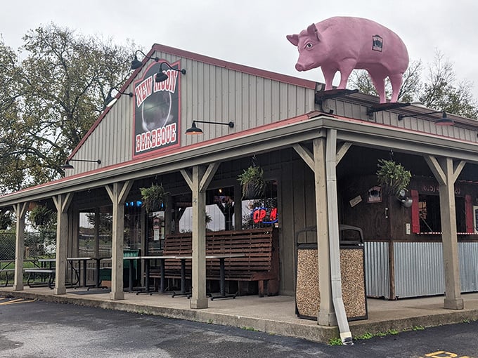 That pink pig on the roof isn't just decoration—it's a beacon of barbecue bliss calling hungry travelers to Lebanon's hidden gem.