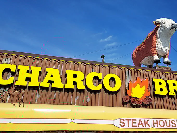 Look for the iconic steer perched atop that unmistakable yellow sign – like a bovine lighthouse guiding hungry Texans to beefy paradise.