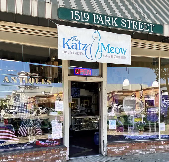 The blue and white sign beckons like a siren song to bargain hunters. This Park Street storefront promises treasures that won't require a second mortgage.