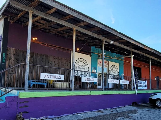 The colorful exterior of Talquin Trading Co. beckons with its vibrant purple steps and eclectic storefront—a rainbow of vintage possibilities.