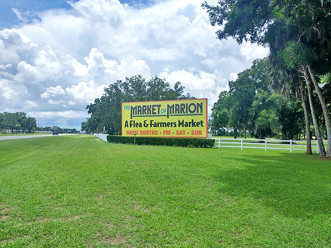 The iconic yellow sign welcomes treasure hunters to Market of Marion, where 1,000 booths of possibility await every weekend.