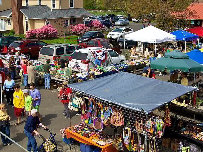 The market buzzes with life as shoppers navigate a maze of colorful stalls. Spring azaleas provide the perfect backdrop for treasure hunting.