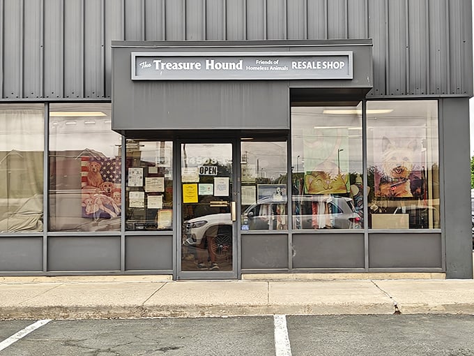 The unassuming exterior of The Treasure Hound belies the wonderland of secondhand treasures waiting inside. Like a thrift store TARDIS—bigger on the inside!