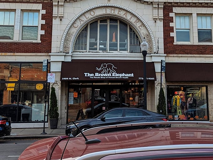 The Brown Elephant's storefront beckons like a portal to treasure-hunting paradise on Clark Street.
