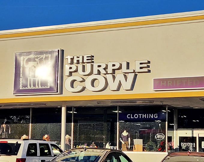 The Purple Cow's exterior promises adventure with its bold signage against the blue sky—like spotting a unicorn in a parking lot, but better. 