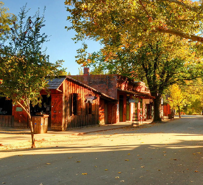 Sunlight warms the historic store, casting a golden glow on Columbia’s timeless streets.