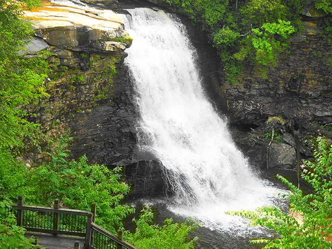 Maryland's tallest free-falling waterfall doesn't just drop 53 feet—it performs a spectacular aquatic ballet that would make Mikhail Baryshnikov jealous.