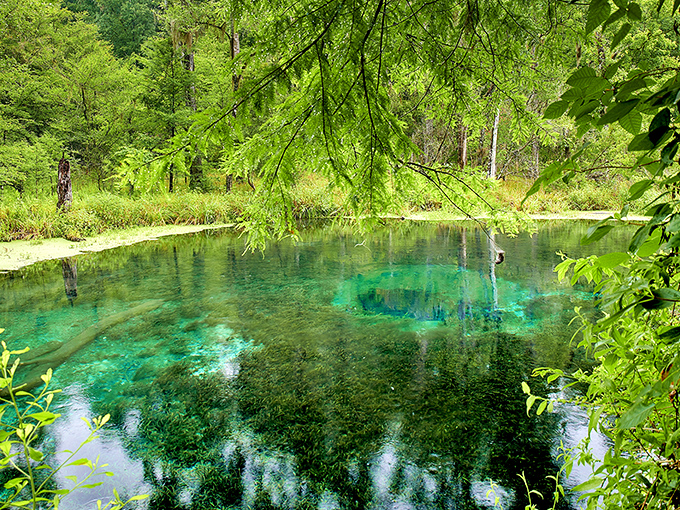 Nature's own infinity pool beckons with crystal-clear water that makes your bathtub jealous.