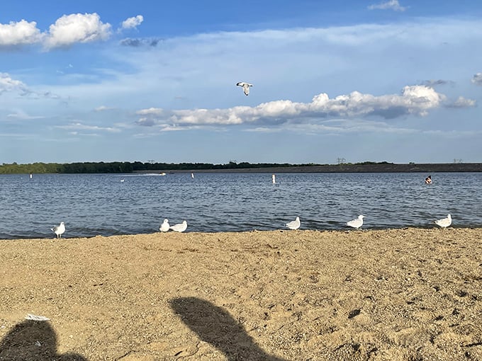 Paradise doesn't require a passport—just sunscreen and a cooler full of optimism at Alum Creek's sandy shores.