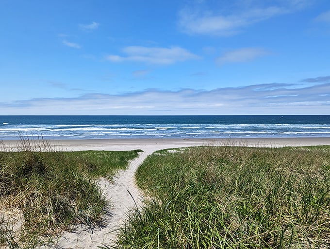 Sandy pathways through windswept dunes lead to ocean paradise—nature's version of the red carpet, minus the paparazzi and uncomfortable shoes.