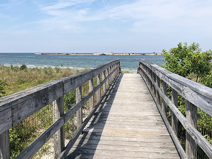 Nature’s own playground at Kiptopeke. The kind of boardwalk that makes you forget your phone password while exploring every corner of its charm.