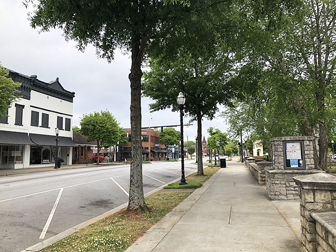 The stately buildings along downtown Hartwell line the street like dignified Victorian gentlemen dressed for Sunday dinner — elegant, timeless, and impossible to ignore.