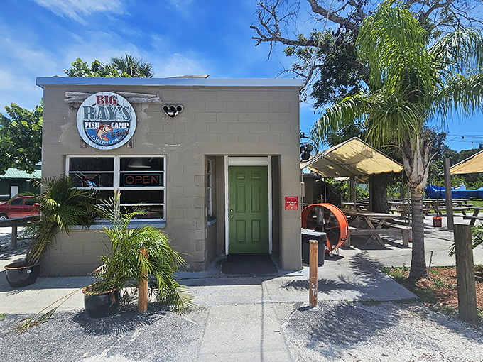 This humble building holds treasures that would make a mermaid jealous – if mermaids ate grouper sandwiches.
