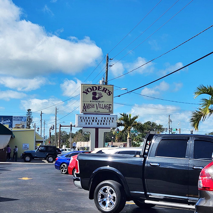The sign says it all: "Now serving fresh blueberry cream pie." In Florida, this isn't just information—it's a call to action that demands immediate attention.