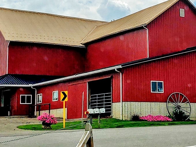 The iconic red barn of Hershberger's stands like a delicious mirage in Amish Country, promising sweet treasures within those weathered walls.
