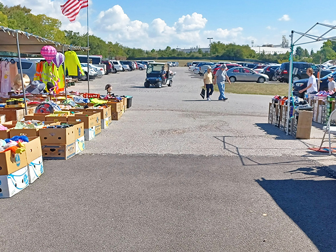 From above, Morning Sun Marketplace resembles a treasure hunter's paradise—acres of possibility where one person's castoffs become another's prized possessions.