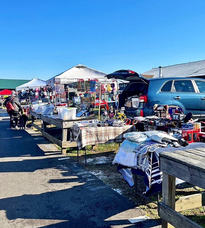 Treasure hunting begins at dawn! Tables laden with everyday artifacts and extraordinary finds stretch as far as the eye can see at Rice's Market.