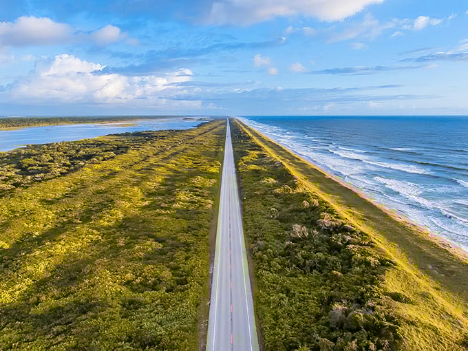 This ribbon of asphalt between ocean and wilderness makes every other road feel like homework.