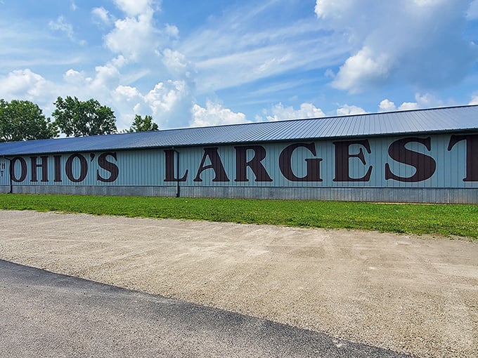 "Ohio's Largest" isn't just a boast—it's a promise. This unassuming blue building houses a universe of treasures waiting to be discovered.