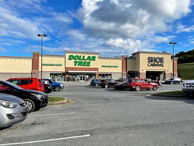 The Morristown Dollar Tree stands proudly under Tennessee skies, its parking lot bustling with bargain hunters from across the county.