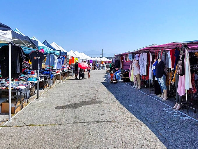 Treasure hunting begins here! Rows of white canopies stretch into the distance, creating the retail equivalent of yellow brick roads leading to bargain wonderlands.