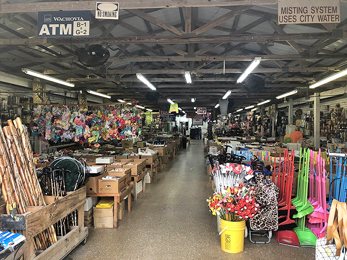 Treasure hunter's paradise! Rows of colorful merchandise stretch as far as the eye can see, like a retail archeological dig waiting to be explored.