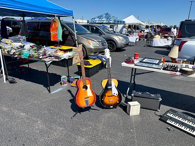 The Allstate Arena parking lot transforms into a treasure hunter's paradise every Sunday, where bargains and curiosities await under the bright blue Illinois sky.