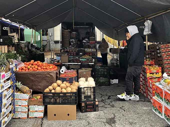 Fresh produce heaven awaits under this unassuming tent, where tomatoes stack like rubies and onions gleam like pearls in the Maryland morning light.